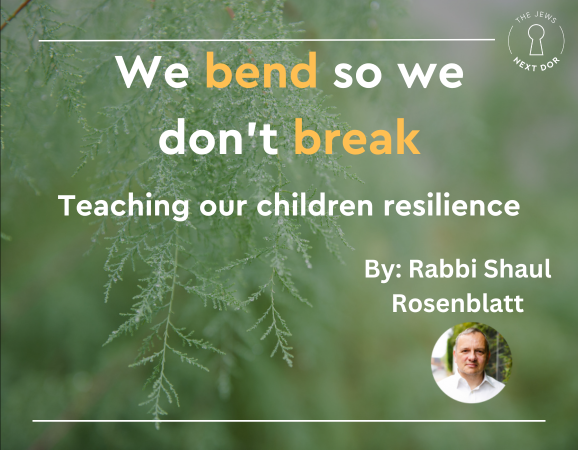 Genaleph - Resilience by Rabbi Shaul Rosenblatt - Genaleph